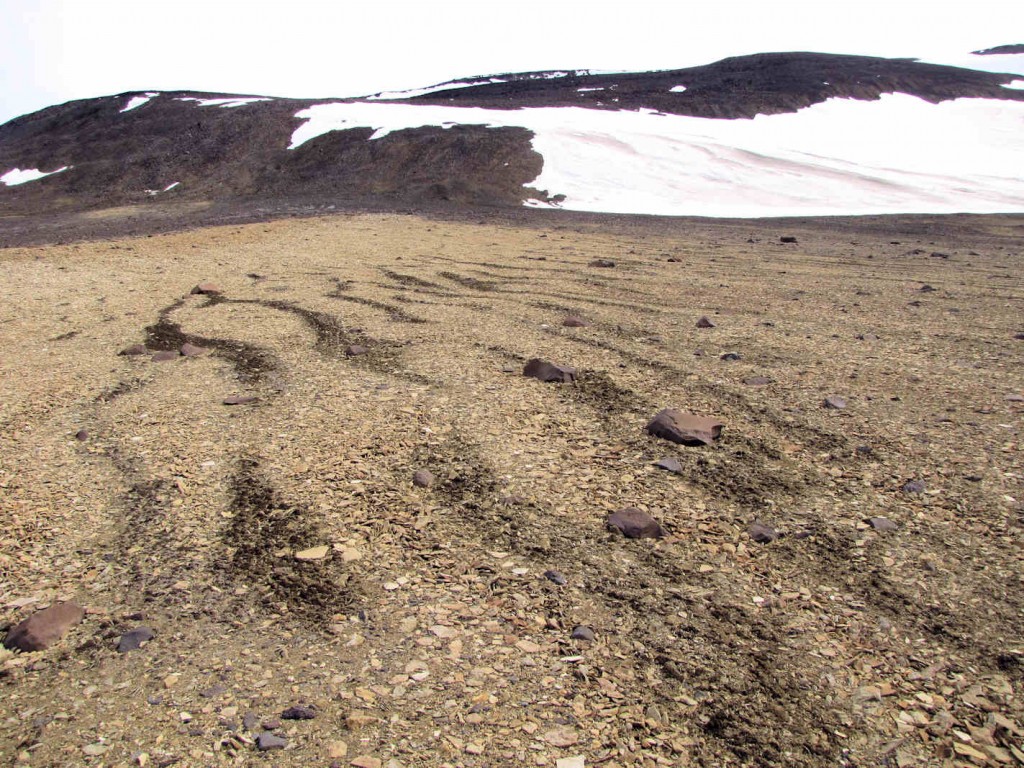 patterned ground - AntarcticGlaciers.org
