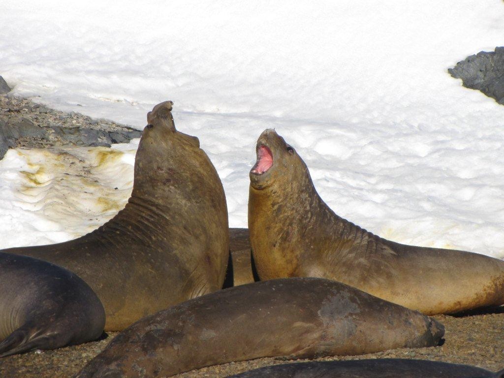 Part 9: Return to Rothera