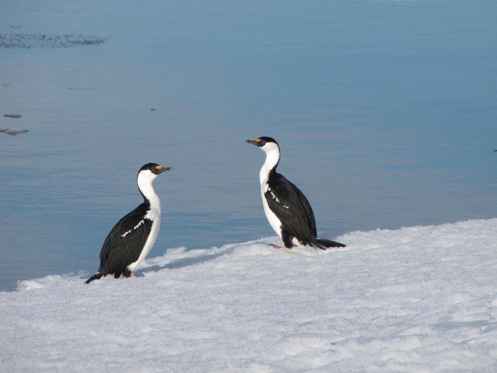 Rothera Research Station