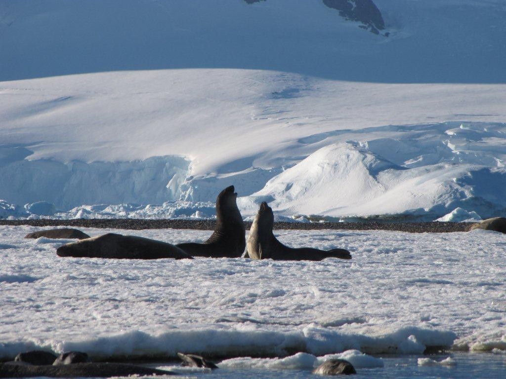 Rothera Research Station