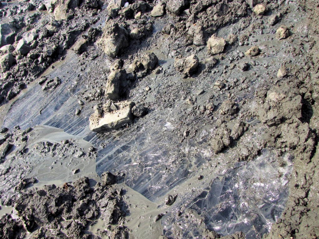whisky-glacier-clean-glacier-ice - AntarcticGlaciers.org