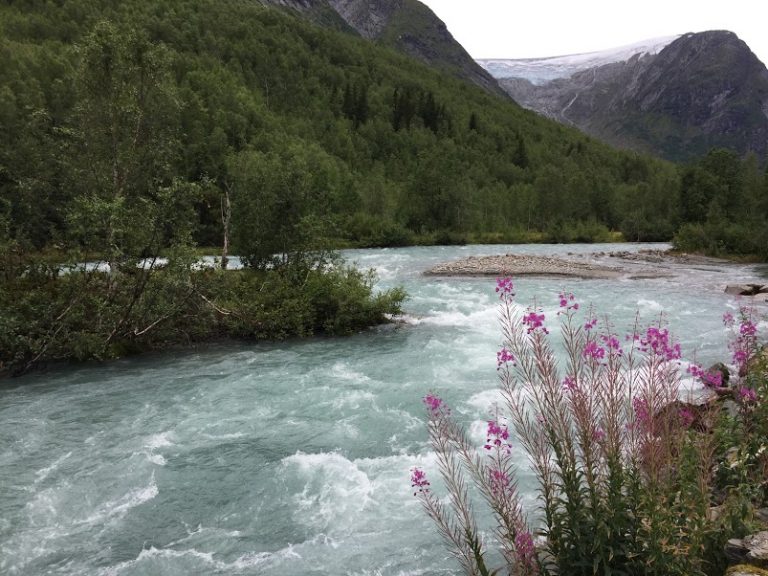 Landsystem of ‘clean’ valley glaciers - AntarcticGlaciers.org