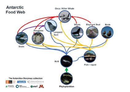 Teaching resources - AntarcticGlaciers.org
